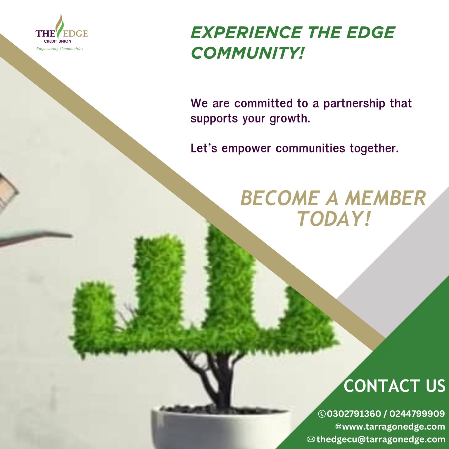 Member Registration - The Edge CU